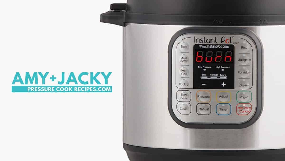 Instant Pot Burn Message: Why + How to Fix it + Mistakes to Avoid