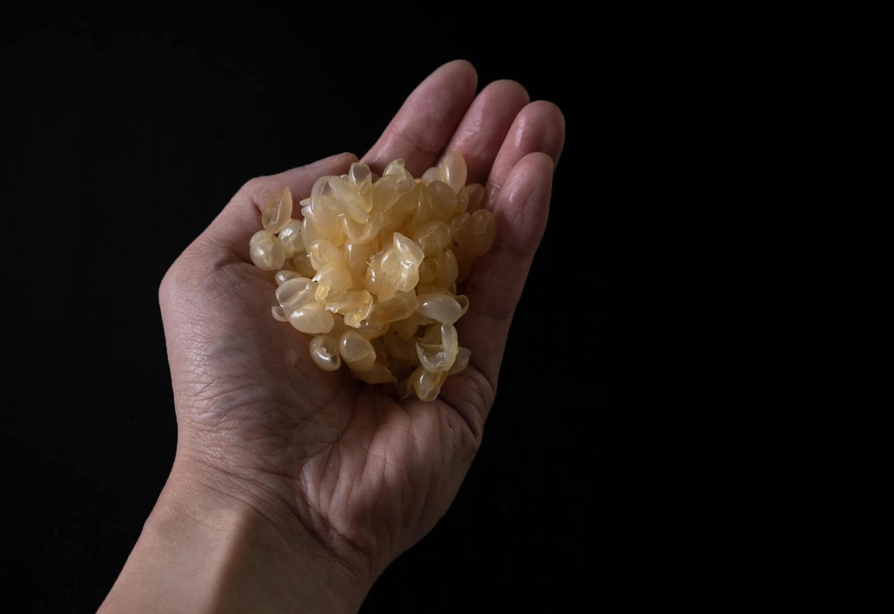 Instant Pot Soy Milk 豆漿 (Pressure Cooker Soy Milk) | Amy + Jacky