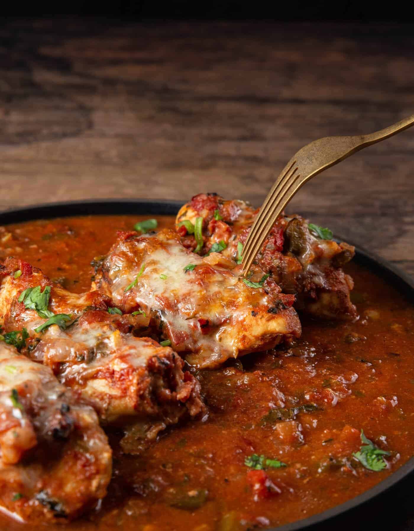 Instant Pot Salsa Chicken - Tested by Amy + Jacky