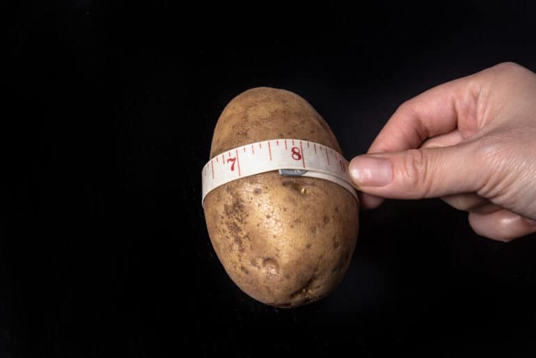 Best Instant Pot Baked Potatoes (with Time Chart) | Tested by Amy + Jacky