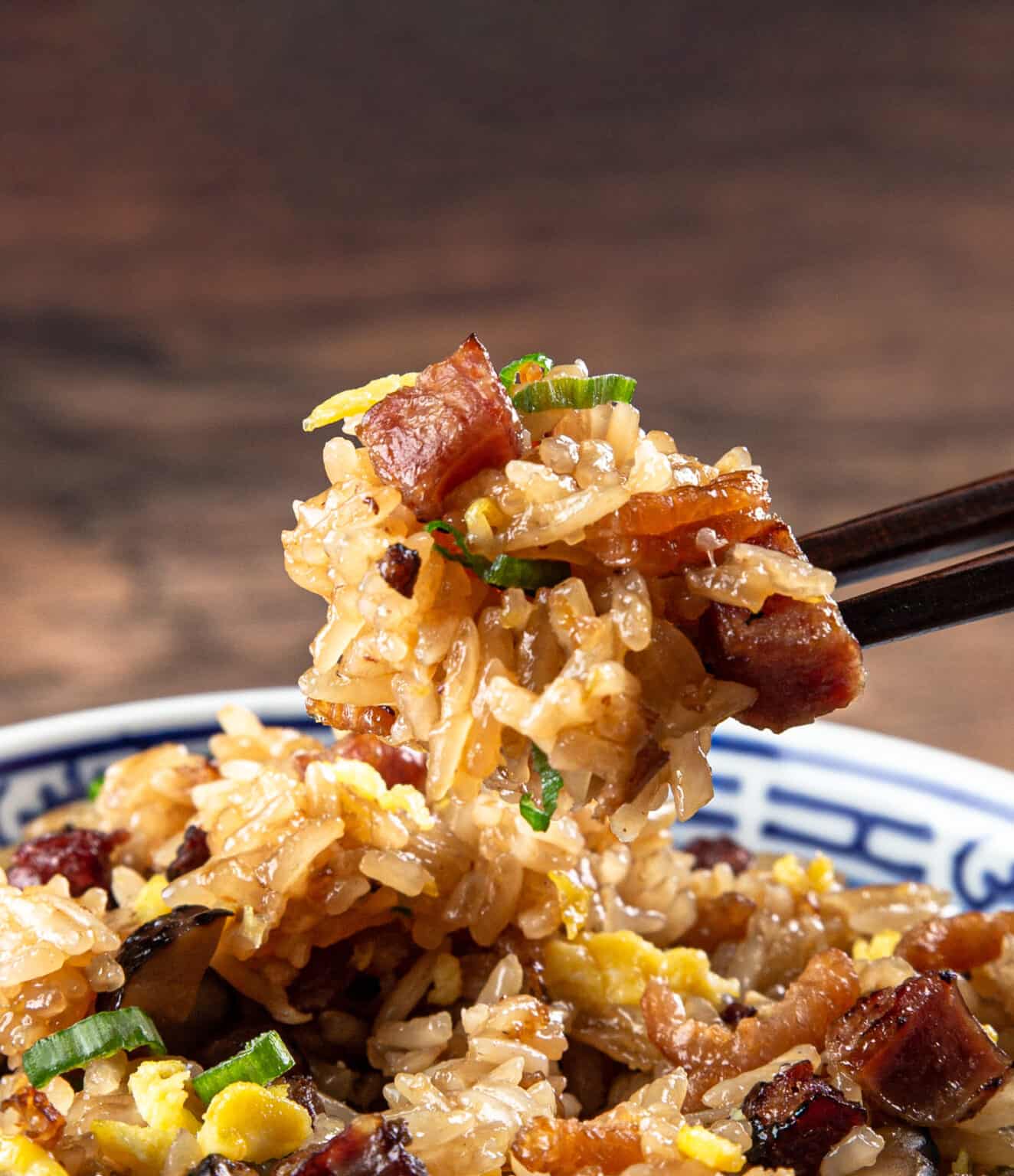 Instant Pot Chinese Sticky Rice (臘味糯米飯) | Tested by Amy + Jacky